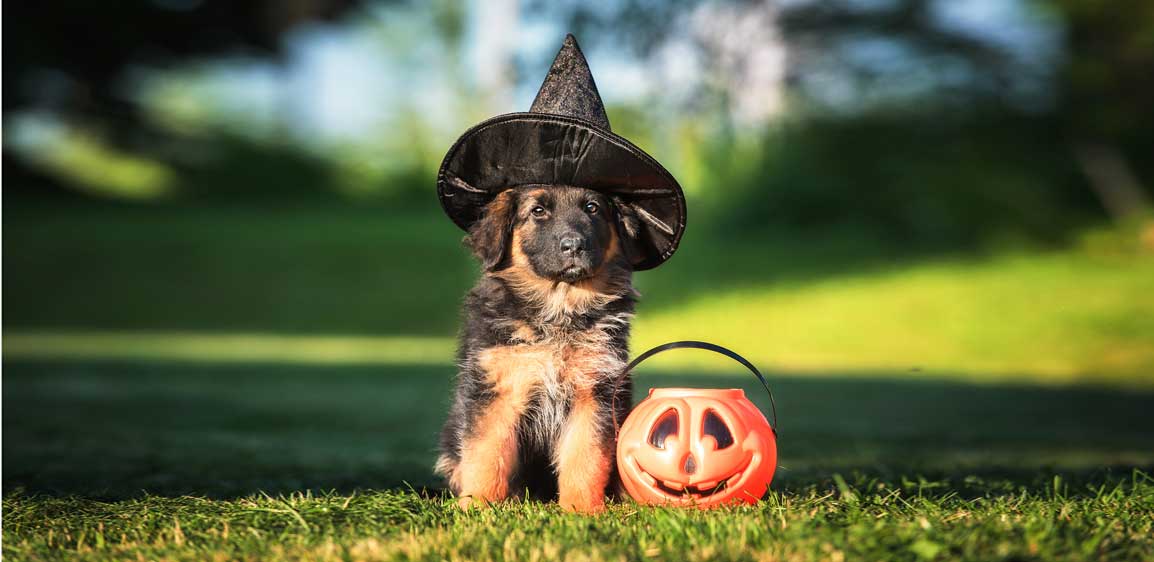 Elizabethtown Gas - Trick or Truth? Debunking 10 of the Most Common ... Elizabethtown Gas - Trick or Truth? Debunking 10 of the Most Common ...